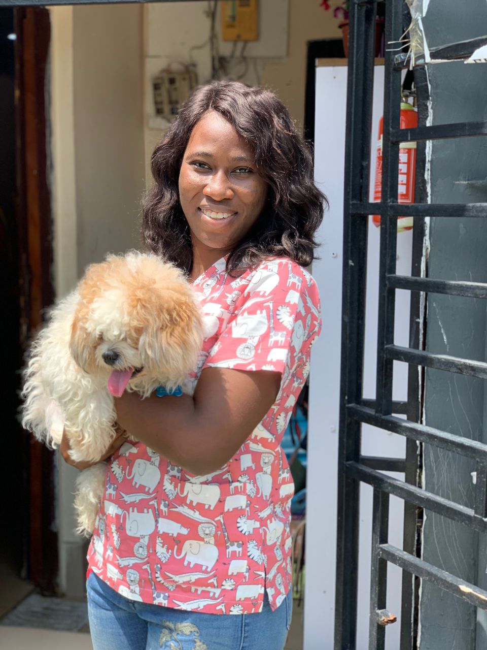 Pets haven Vet. Clinic – Best And Affordable Veterinary Clinic